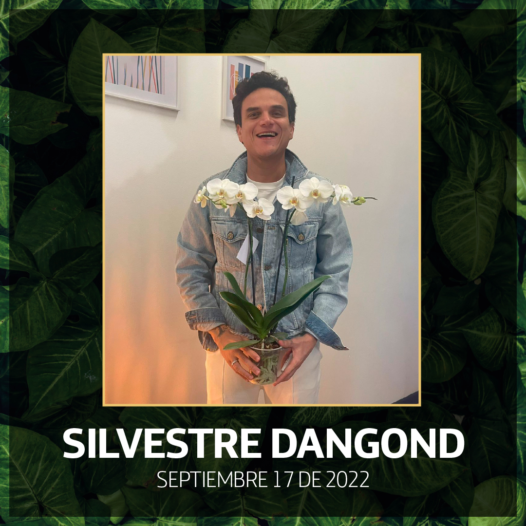 Green Arena | Movistar arena